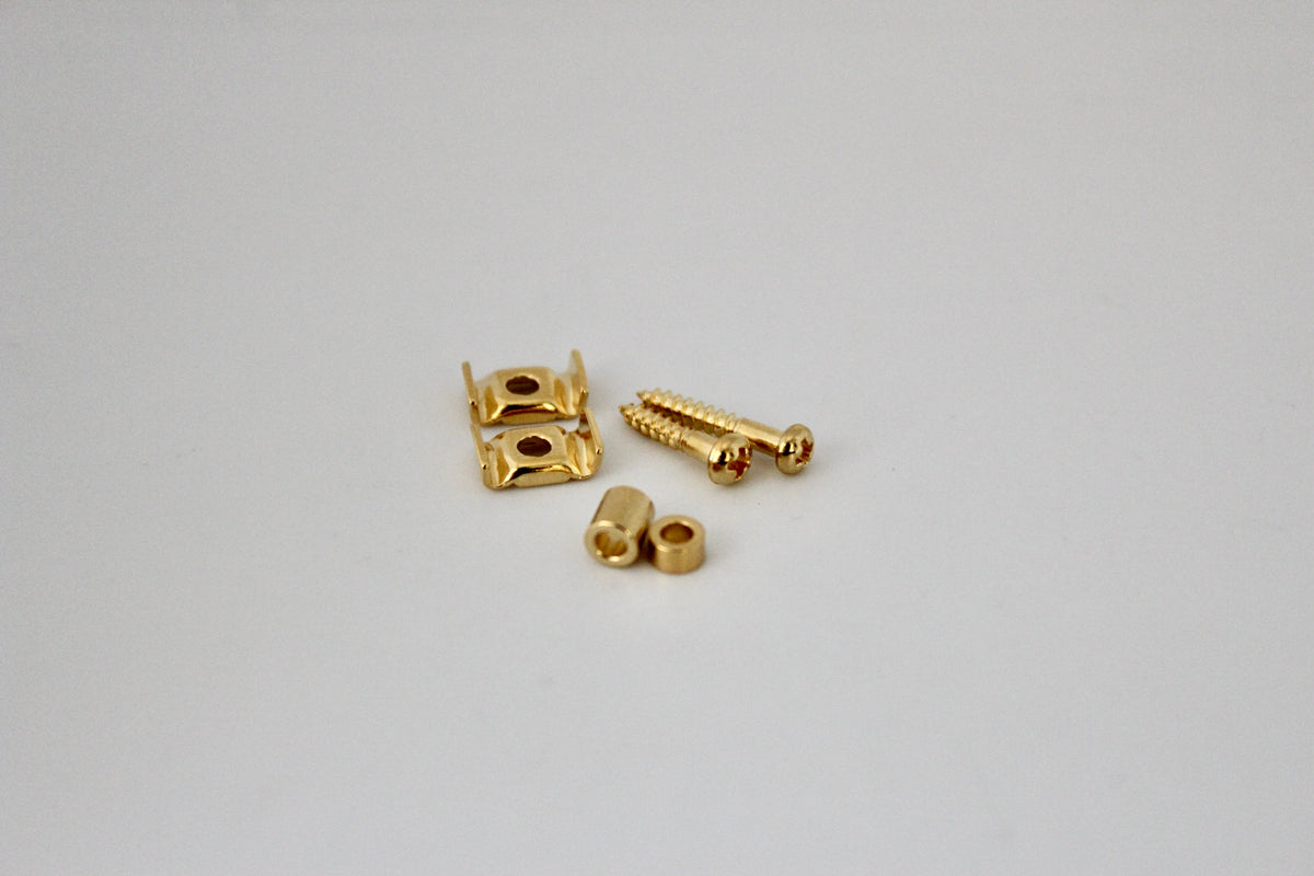 Guitar String Retainers, set of 2 - Gold – The Guitar Parts Store